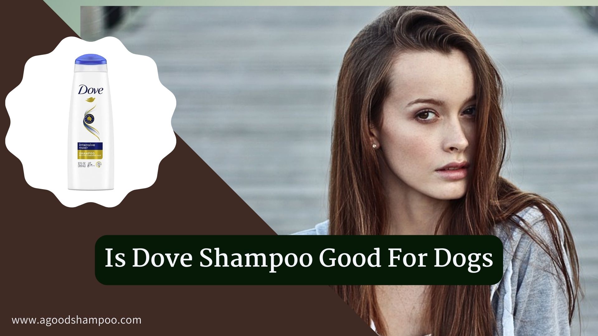 Is Dove Shampoo Good For Dogs? Safe Use And Best Alternatives - A Good ... Is Dove Shampoo Good For Dogs? Safe Use And Best Alternatives - A Good ...